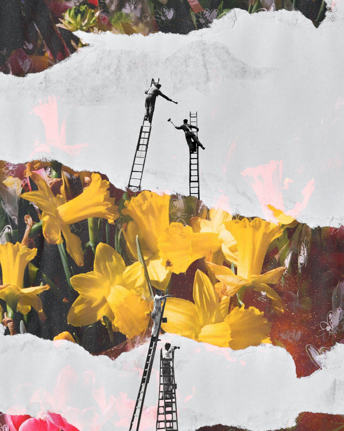 Print - Ladders – anothertechnique