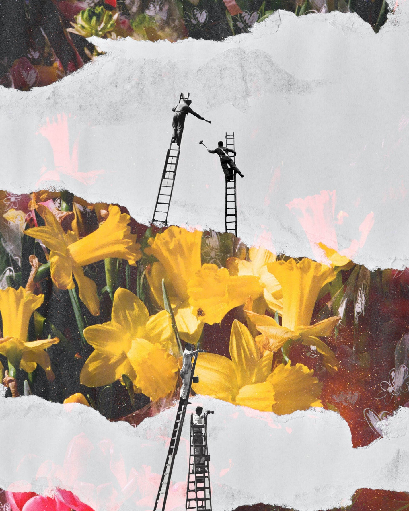 Print - Ladders – anothertechnique